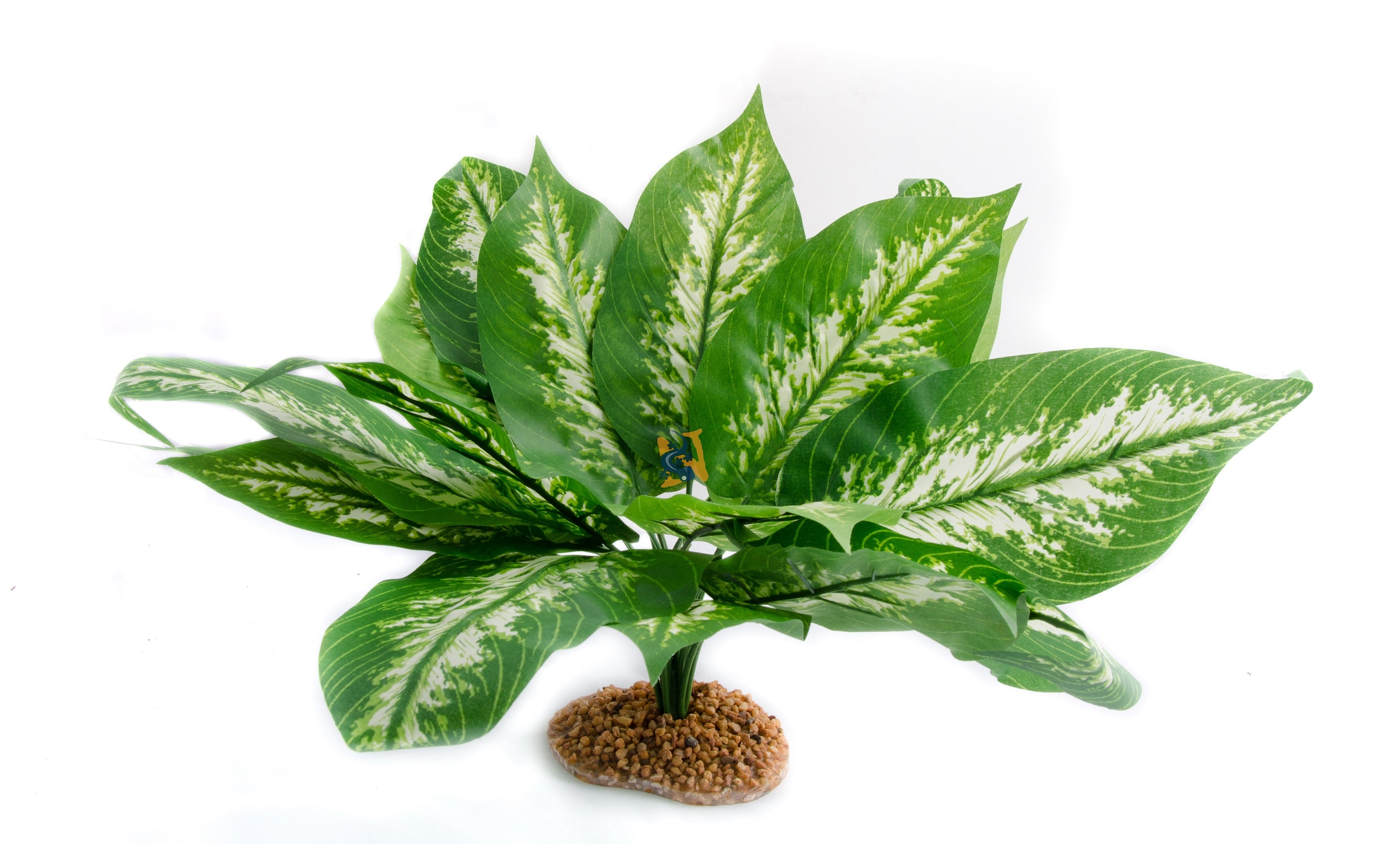 AquaGlobe Costatum Silk Plant – Northern Gecko Inc US
