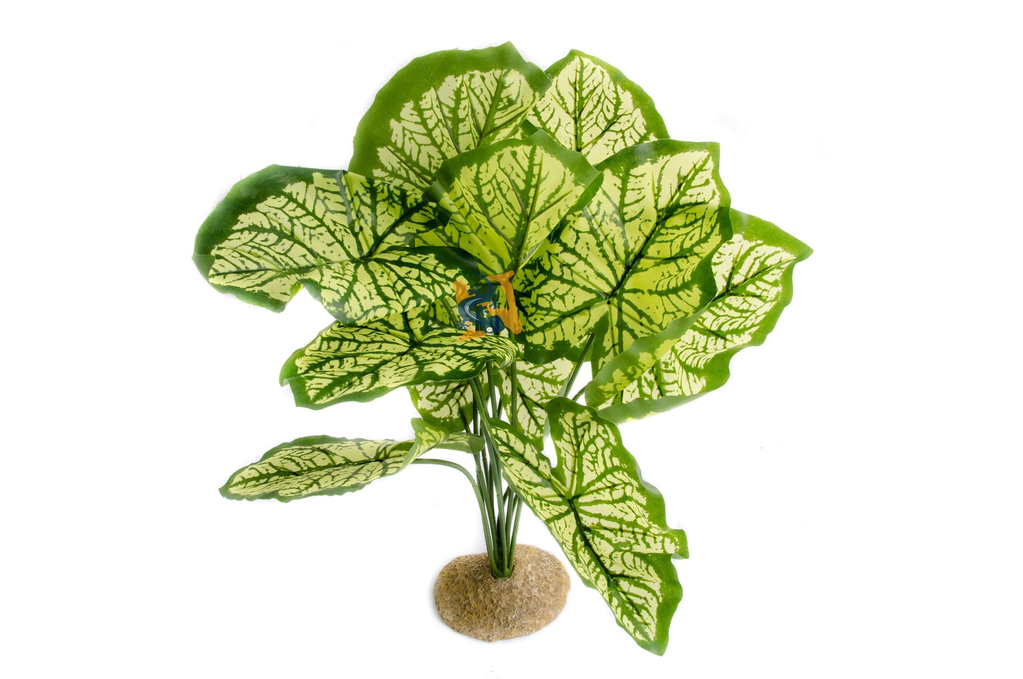 AquaGlobe Yellow Casia Silk Plant – Northern Gecko Inc US