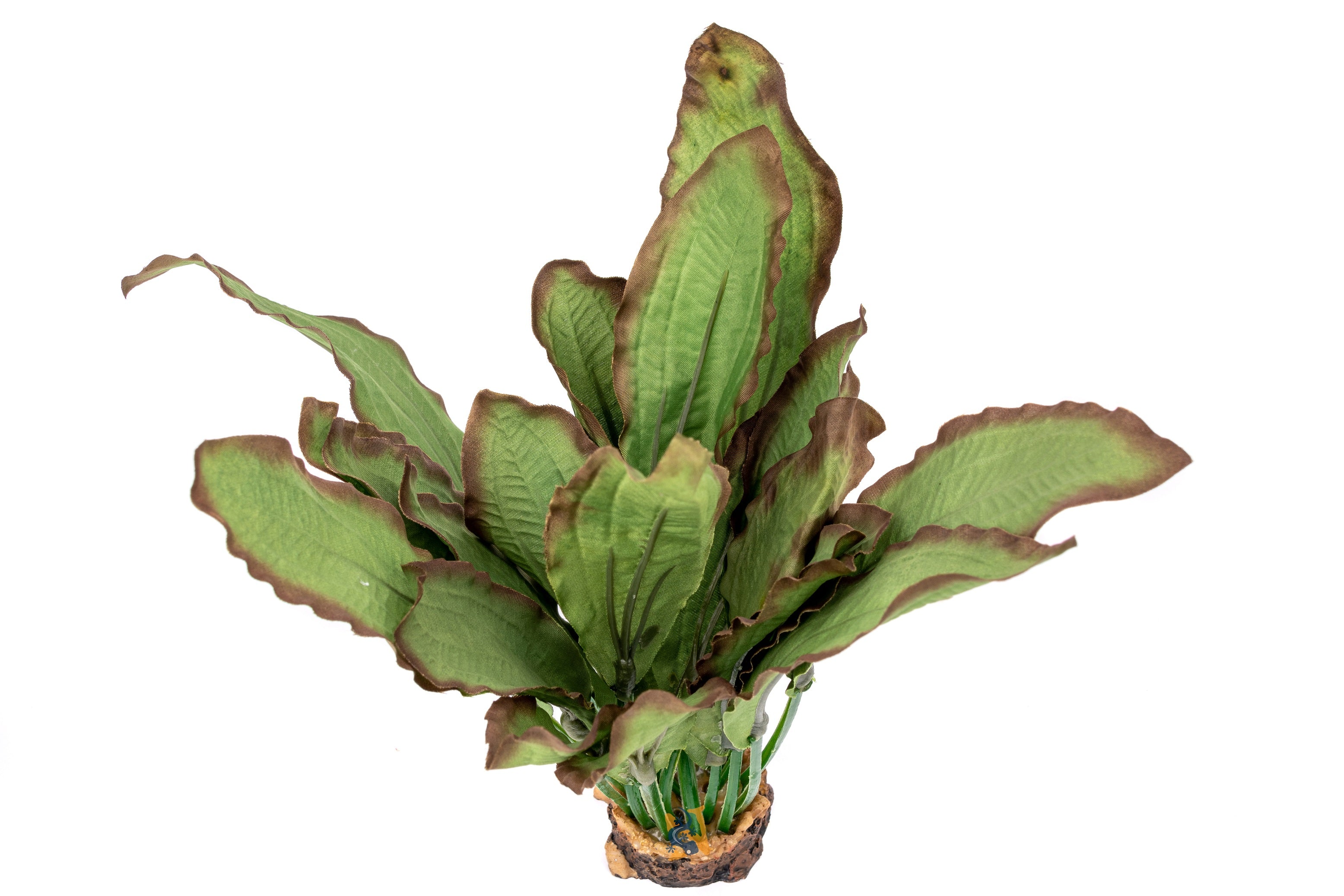 AquaGlobe Ruba Silk Plant – Northern Gecko Inc US