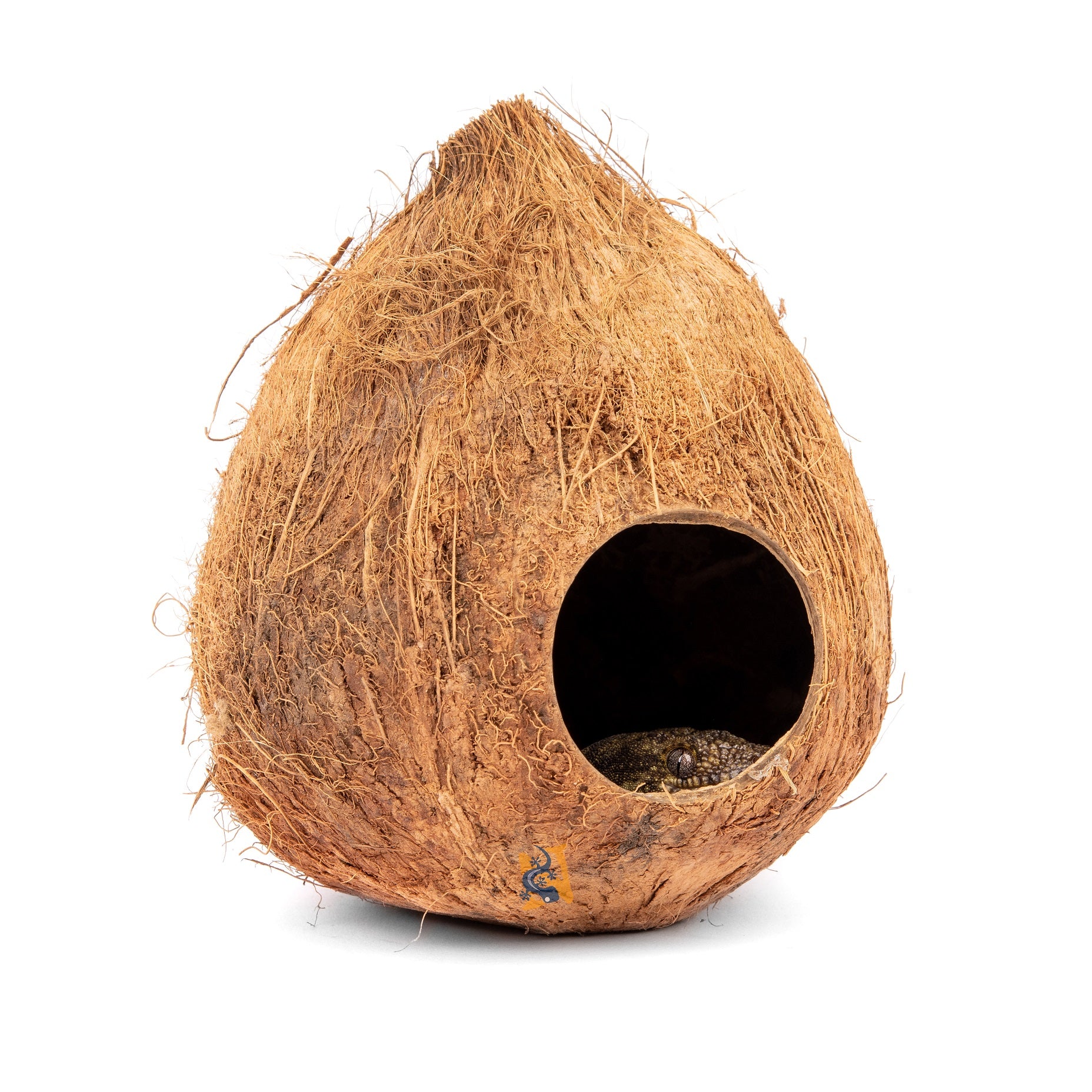 AquaGlobe Coconut Shell Hide – Northern Gecko Inc US