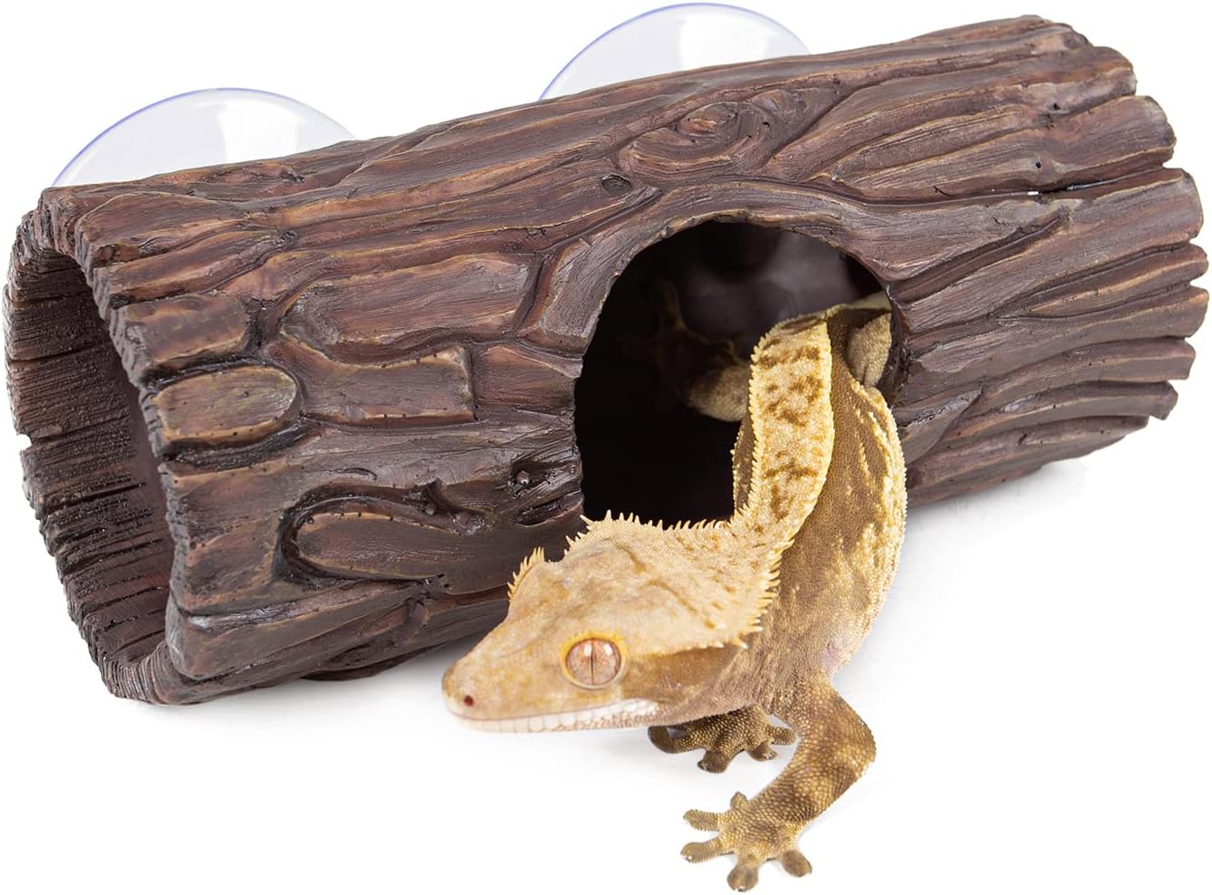 ReptiZoo Vertical Tree Trunk Hideout (Suction Cups) – Northern Gecko Inc US