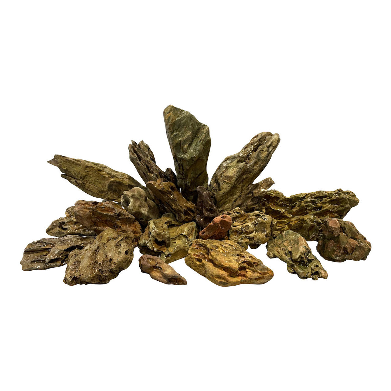 Aquaglobe Japanese Holy Lace Rock (Dragon Rock) – Northern Gecko Inc US