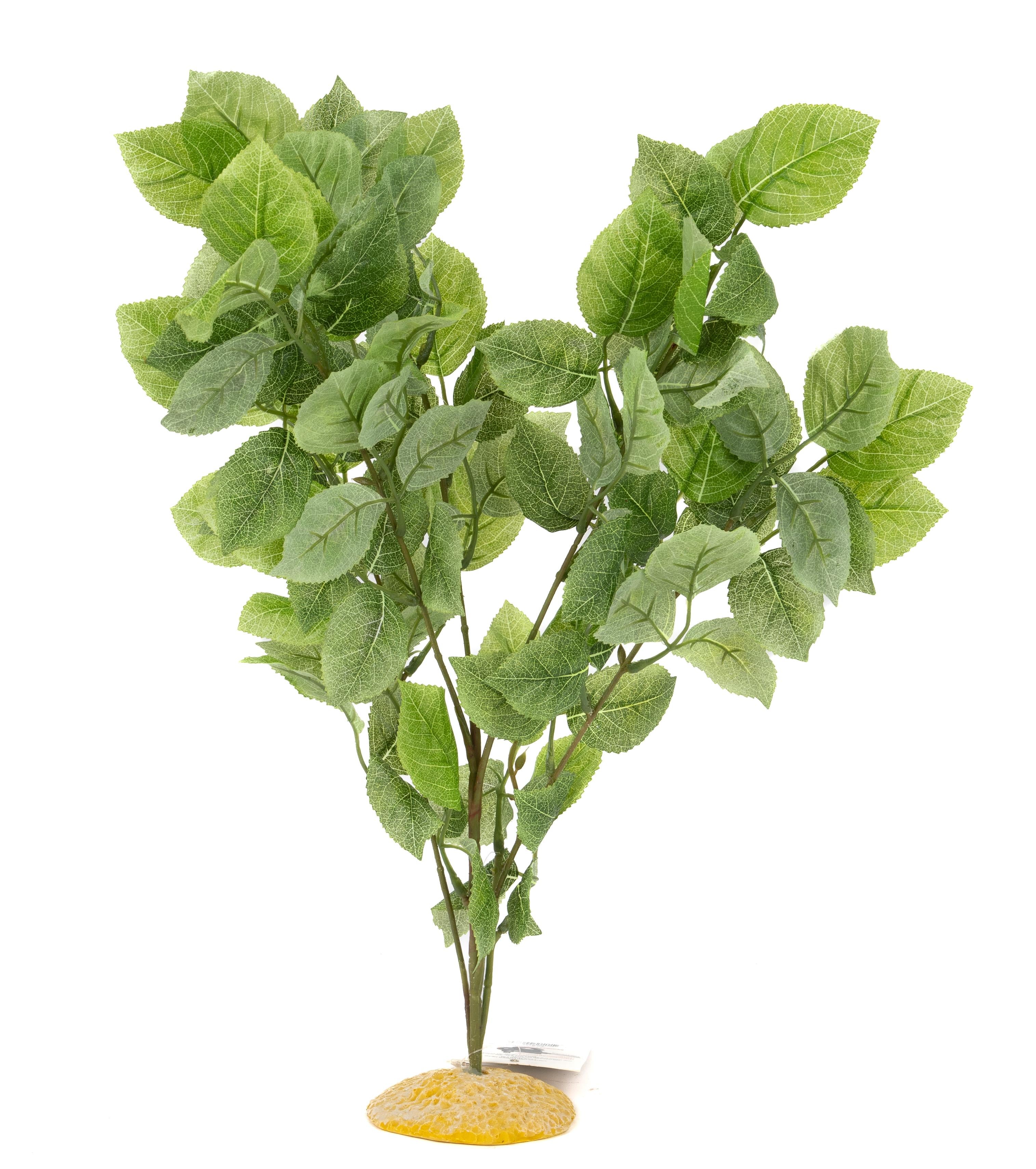 Aquaglobe Rose Silk Plant, 20" – Northern Gecko Inc US